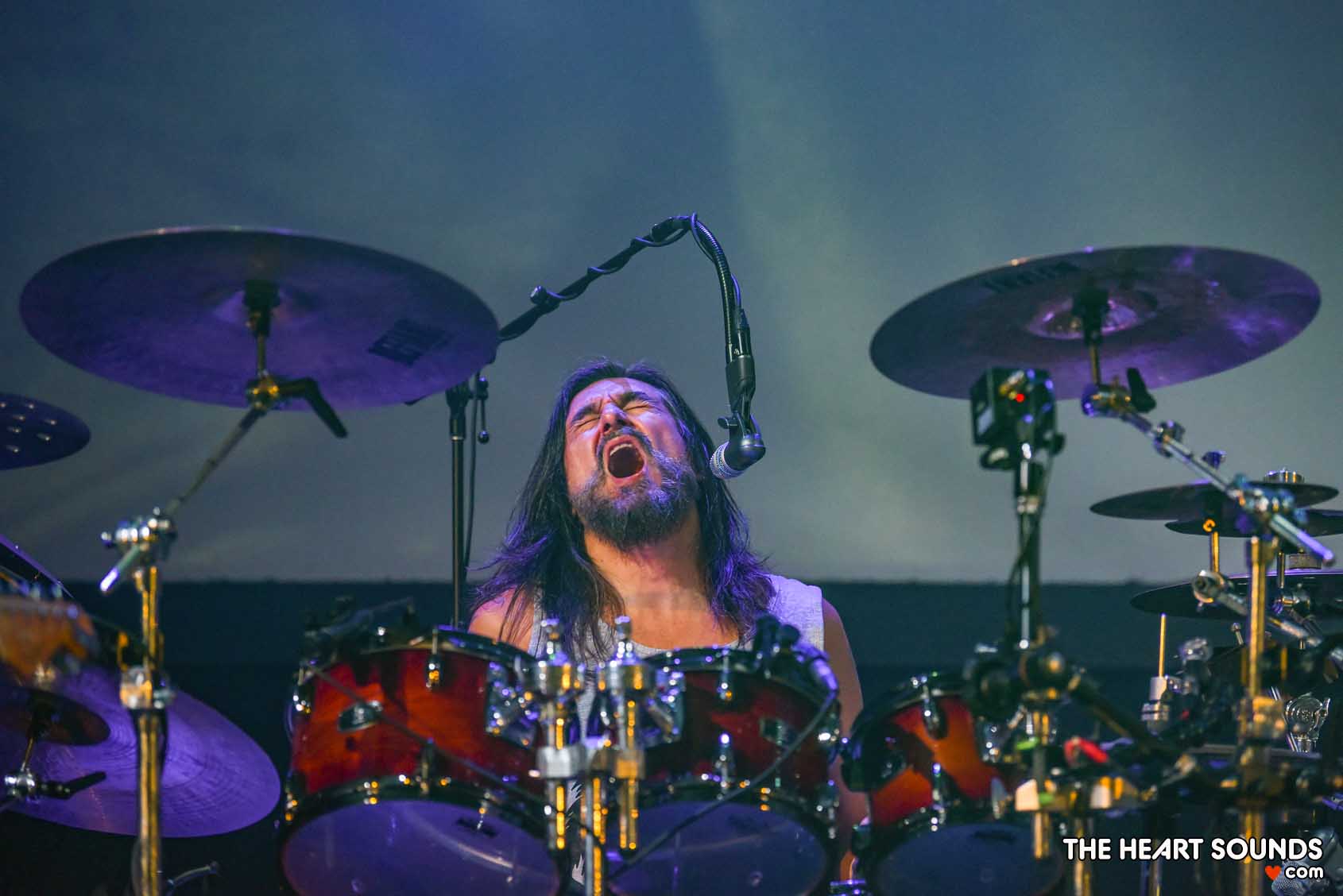 CAIFANES at The Aztec Theatre | The Heart Sounds